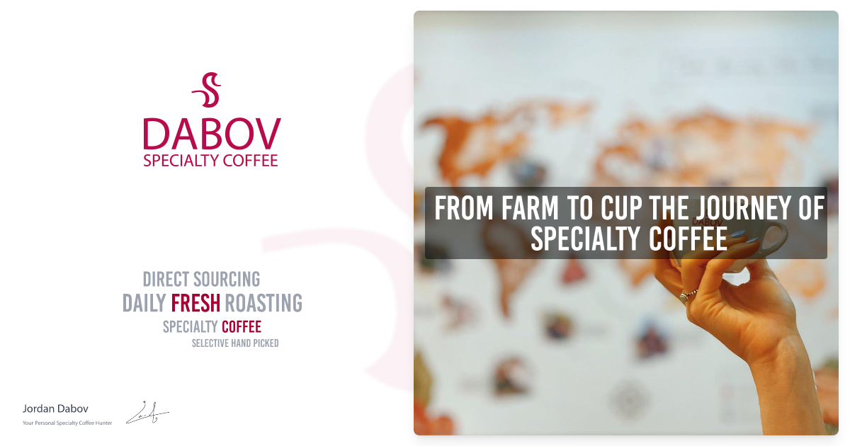 Explore the Specialty Coffee Journey from Farm to Cup